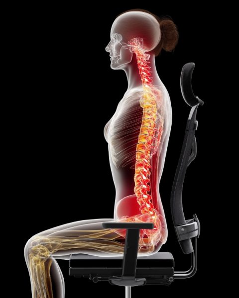 Musculoskeletal Disorders: Awareness and Risk Prevention